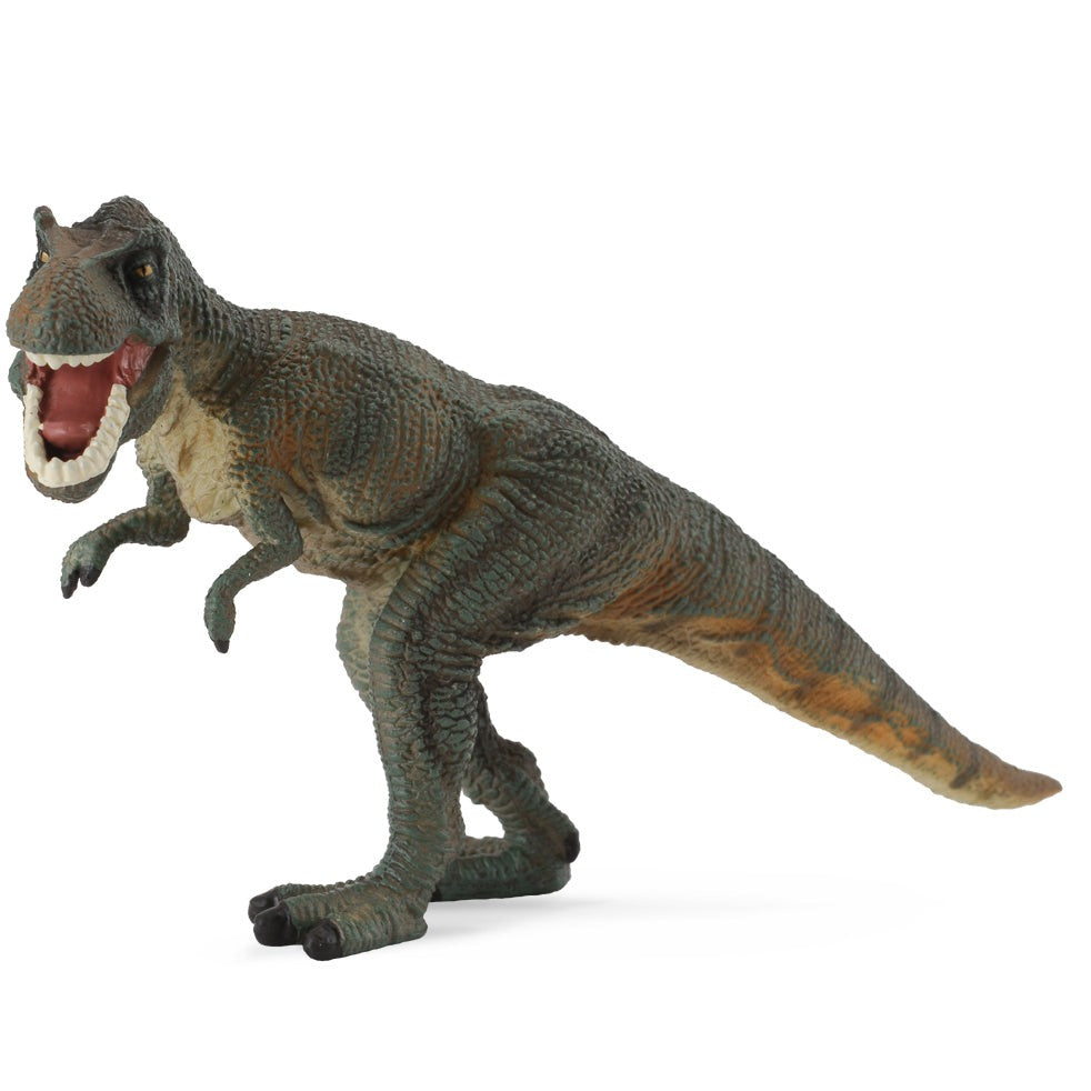 Large Green T-Rex Replica – Western Australian Museum Store