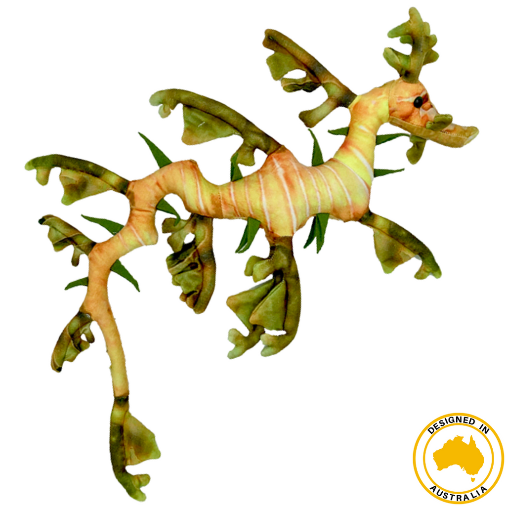 Leafy Sea Dragon Plush Toy – Western Australian Museum Store