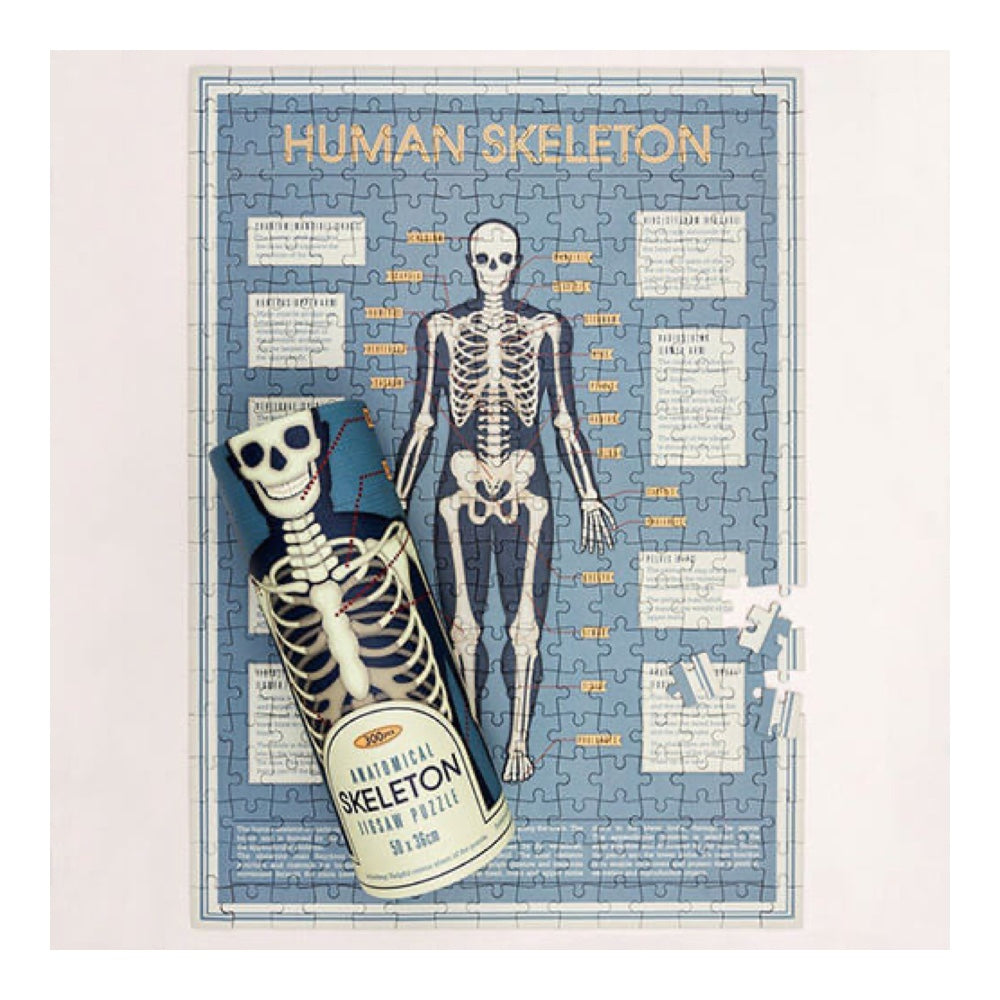 Anatomical Skeleton Jigsaw Puzzle in a Tube - 300 Piece – Western ...
