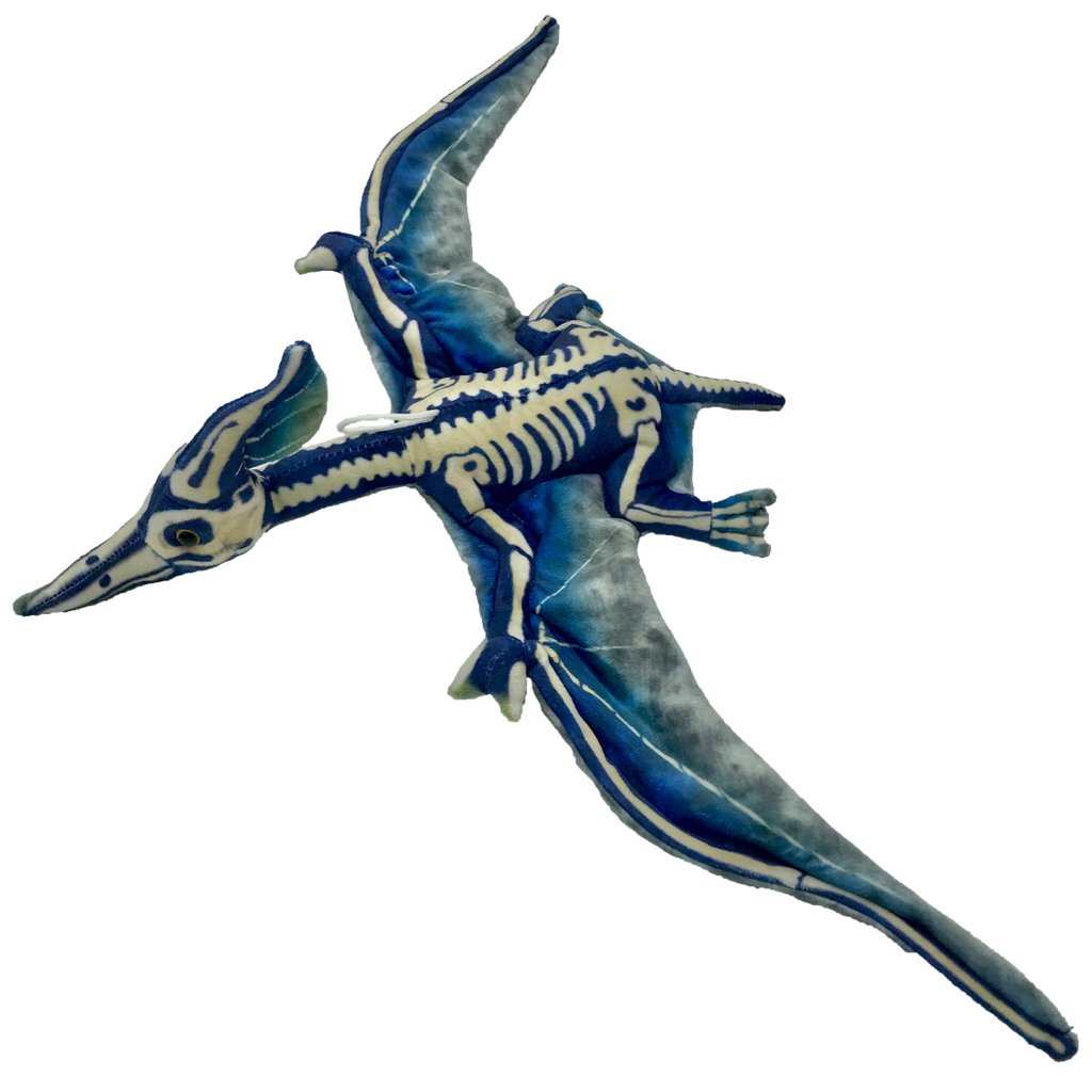 Terry Pterosaur 35cm Skeleton Plush – Western Australian Museum Store